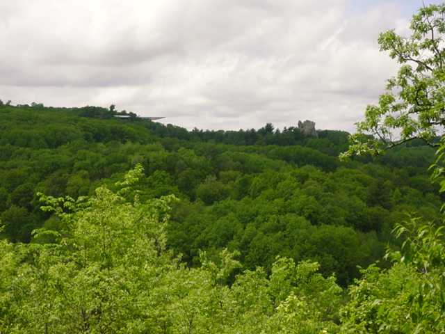 DSC01062.JPG